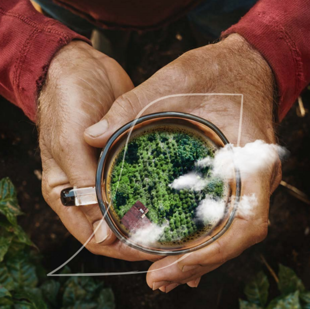 NESCAFÉ PLAN 2030 - Progress Report | Nestlé Professional