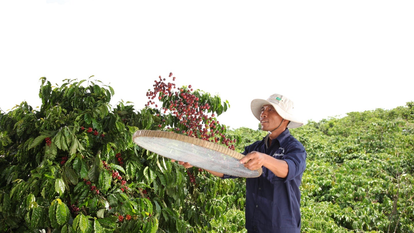 NESCAFÉ Plan 2030 - Duurzame koffie | Nestlé Professional